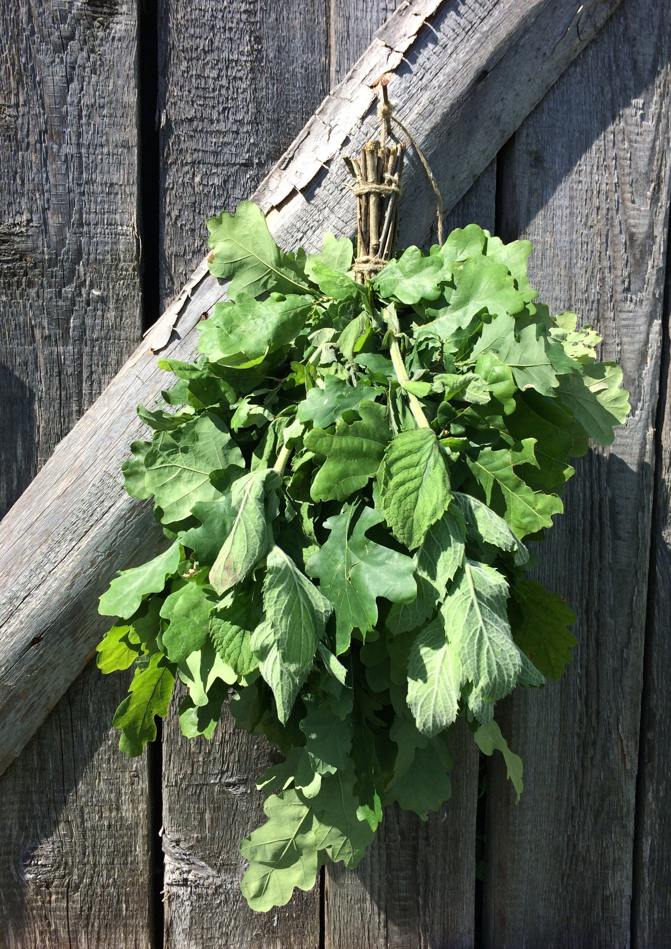 Oak-Mint Whisk – saunavisions